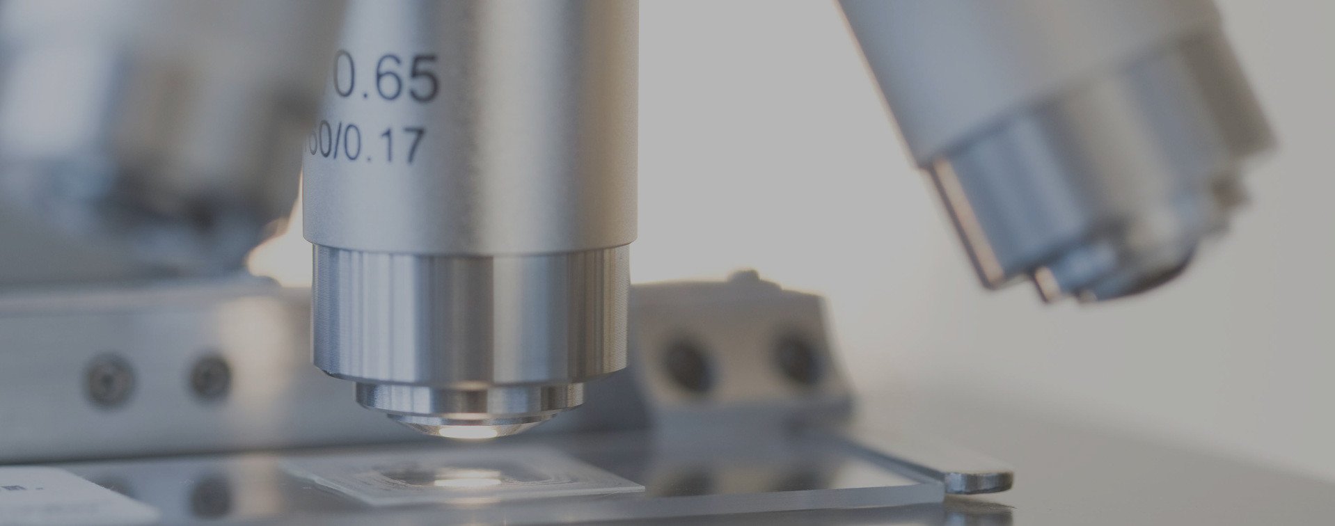 Adaptive optics is used in microscopy. ALPAO deformable mirror ...